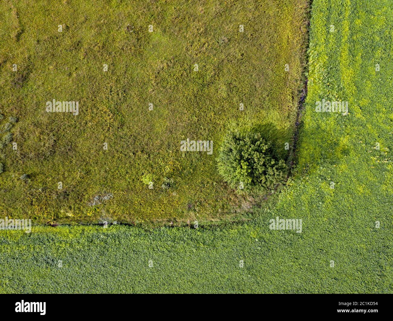 Drones flying above bush hi-res stock photography and images - Alamy
