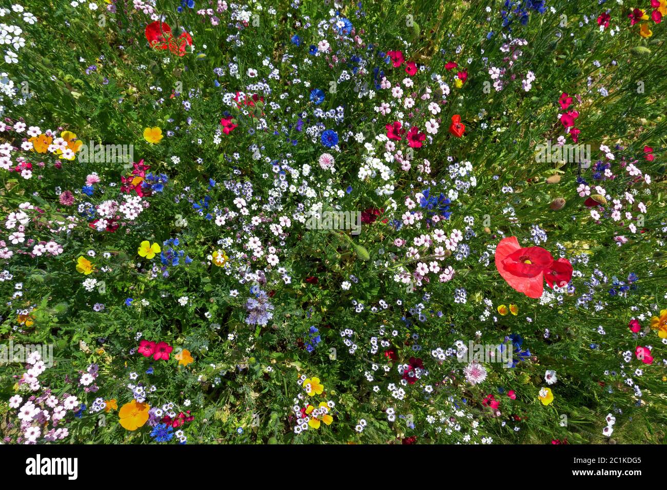 Angle from above hi-res stock photography and images - Alamy
