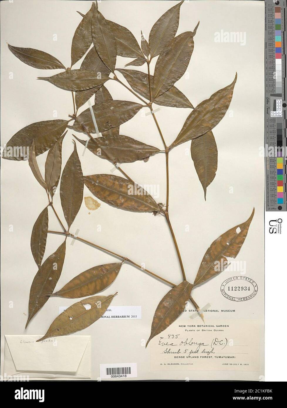 Evea hi-res stock photography and images - Alamy