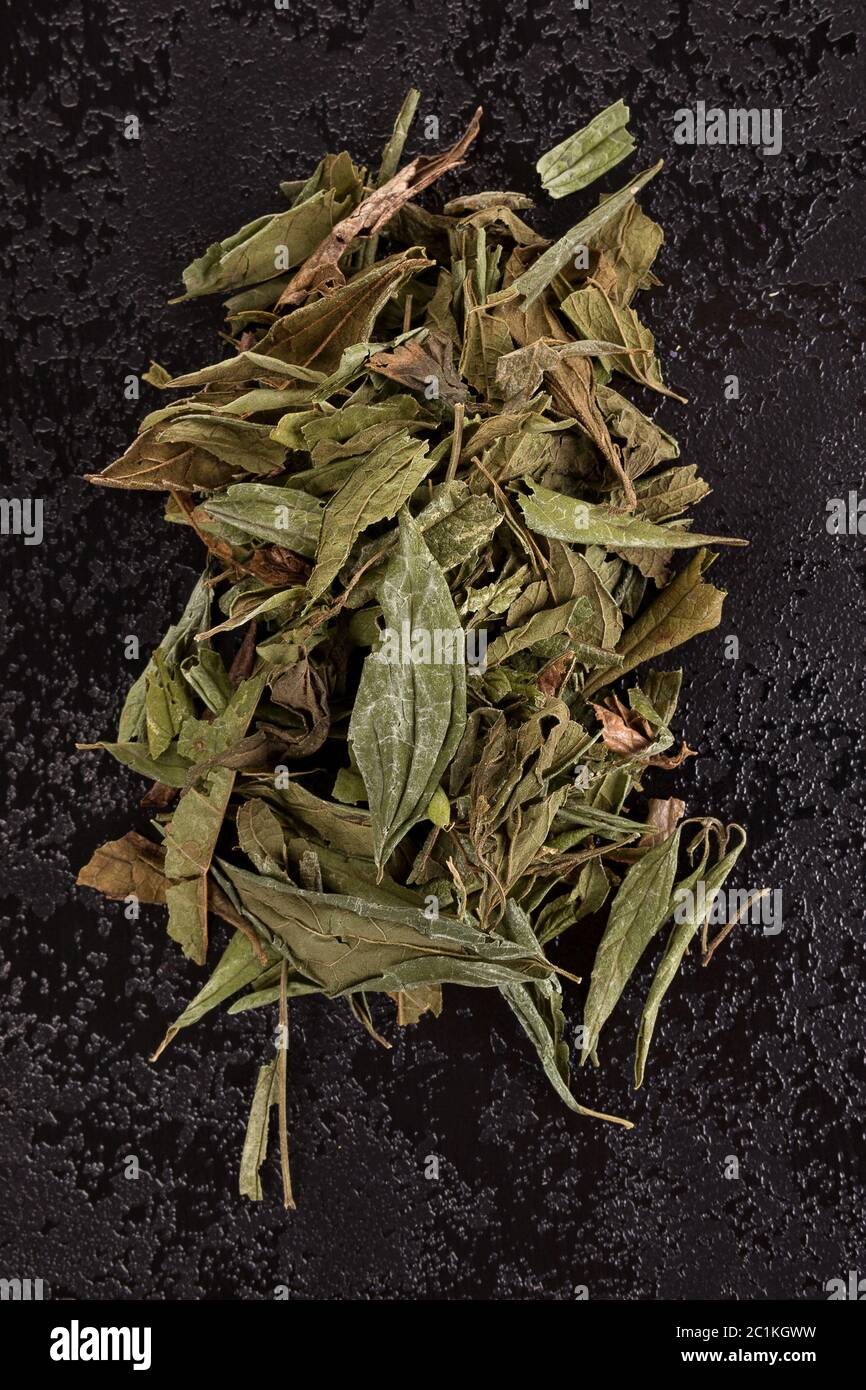 Calea zacatechichi. Mexican dream herb Stock Photo - Alamy