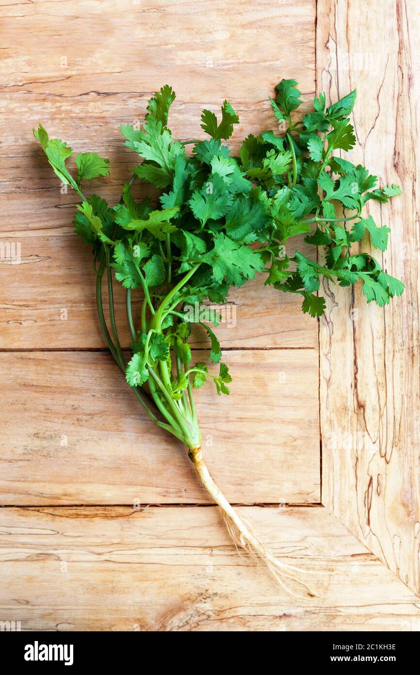 Coriander leaves top hi-res stock photography and images - Alamy