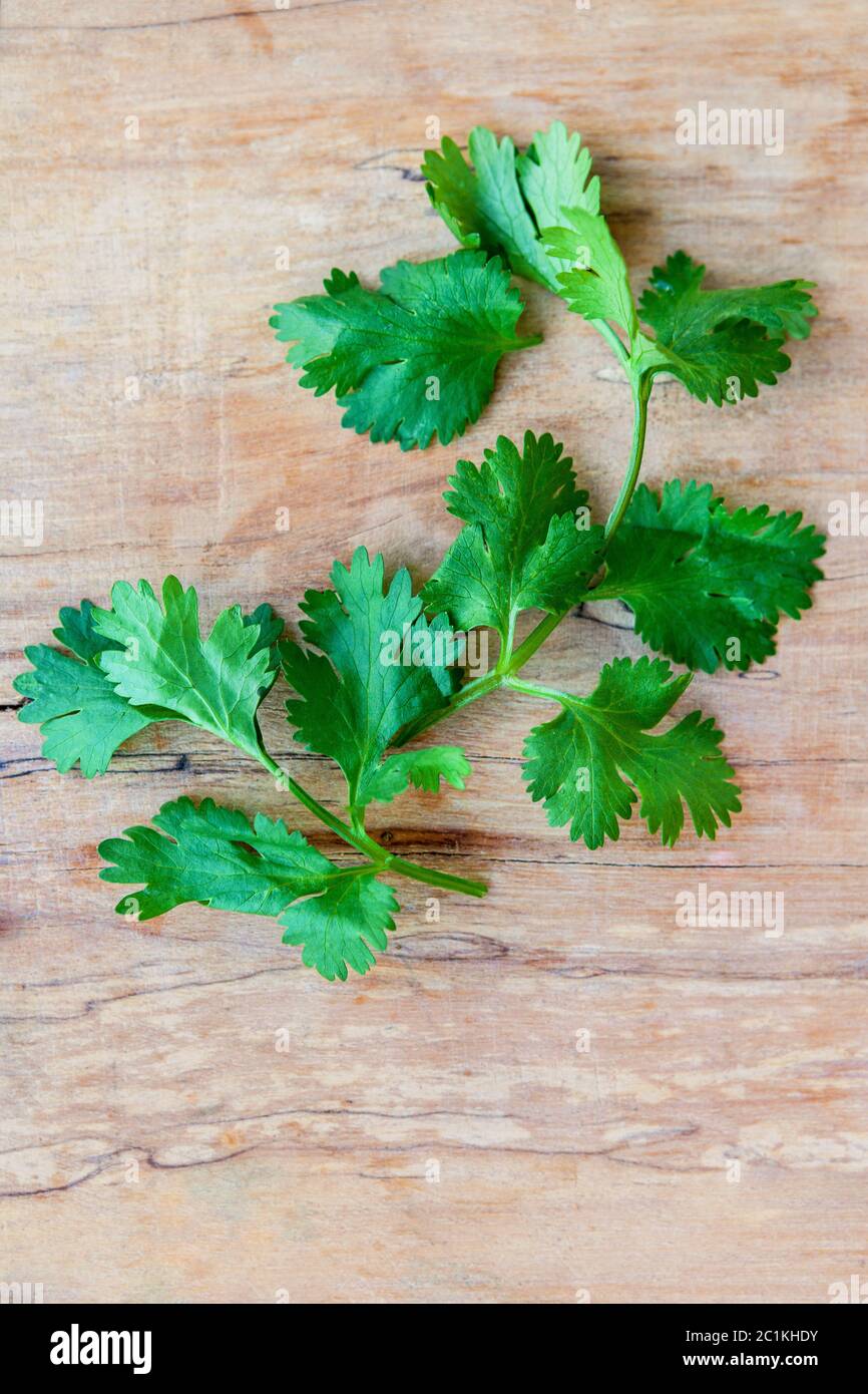 Coriander leaves top hi-res stock photography and images - Alamy