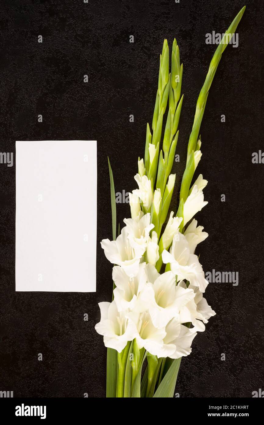 Gladioly flowers with blank paper for obituary notice Stock Photo - Alamy Gladioly flowers with blank paper for obituary notice Stock Photo - Alamy