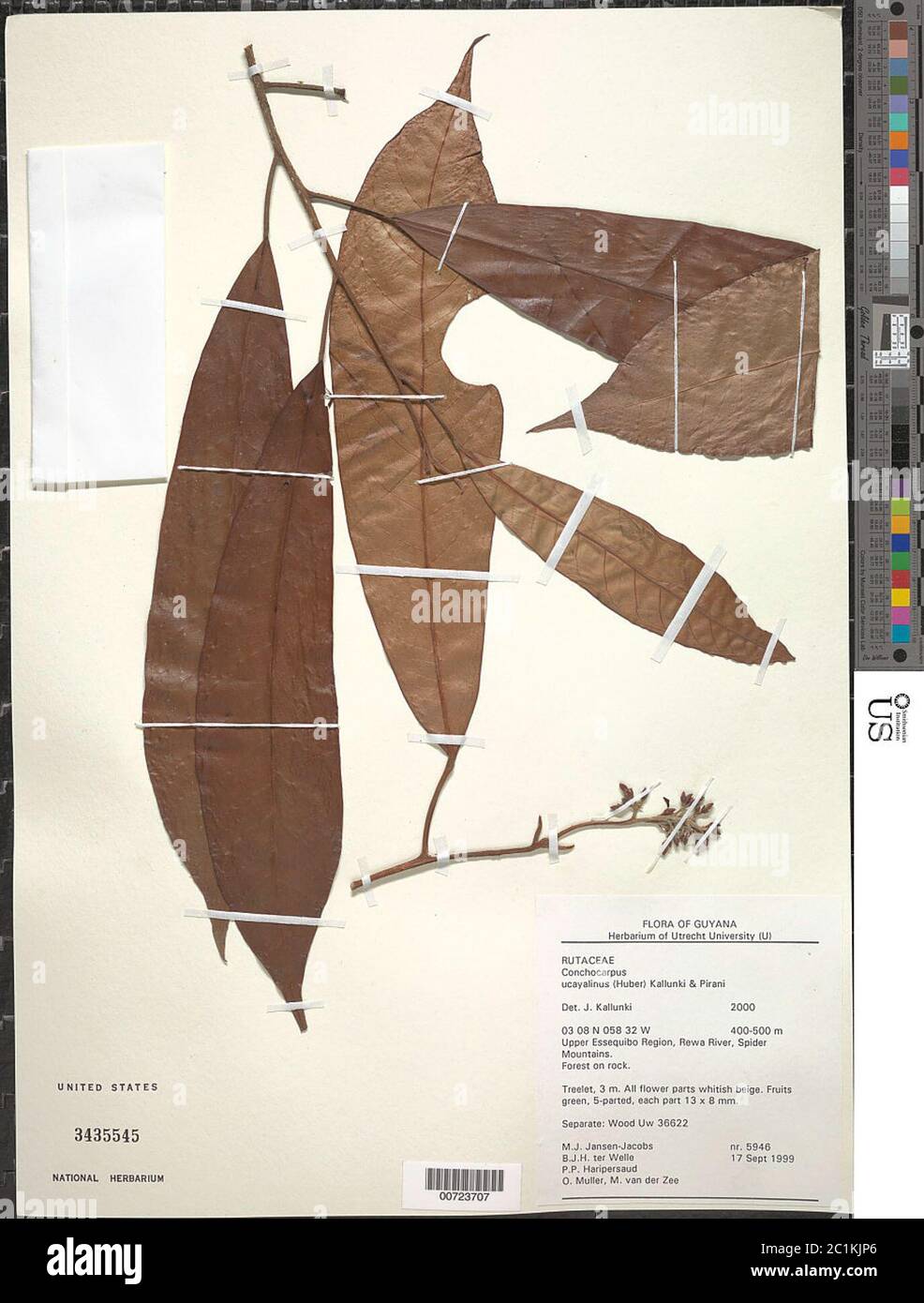 Kallunki hi-res stock photography and images - Alamy