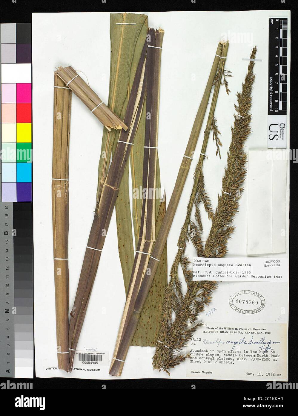 Angusta hi-res stock photography and images - Alamy