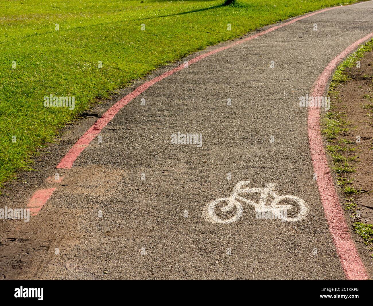 Bike Lane signs on streets ground Stock Photo - Alamy