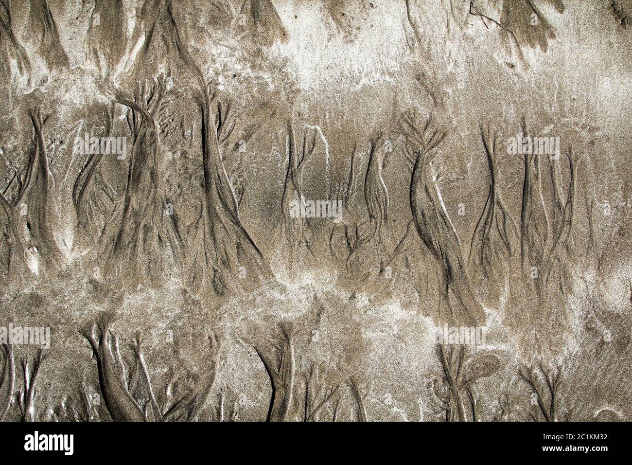 Sand texture drawn by waves Stock Photo - Alamy