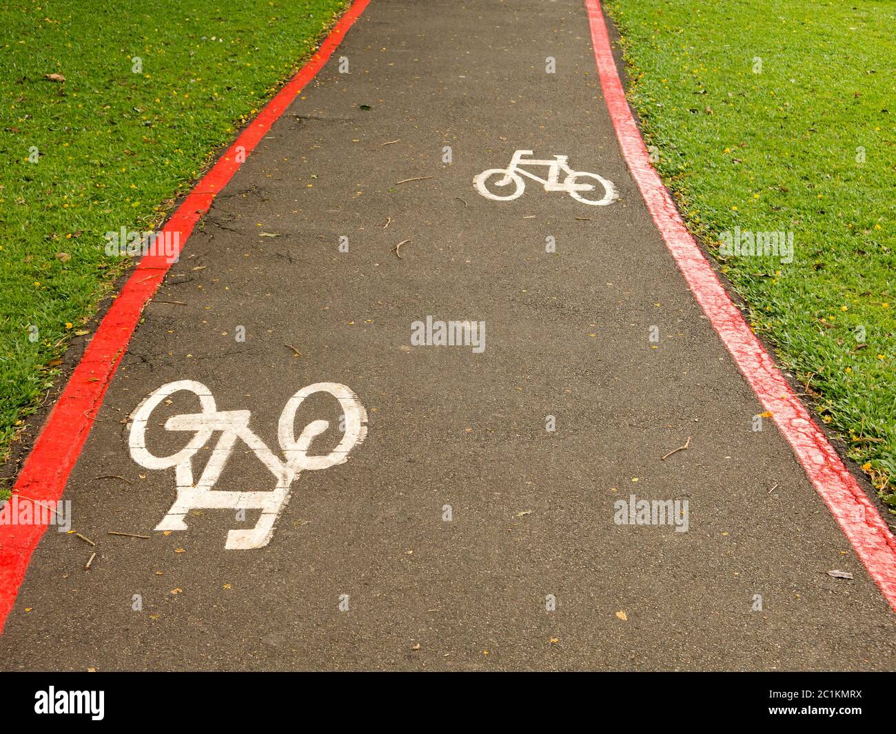 Bike Lane signs on streets ground Stock Photo - Alamy