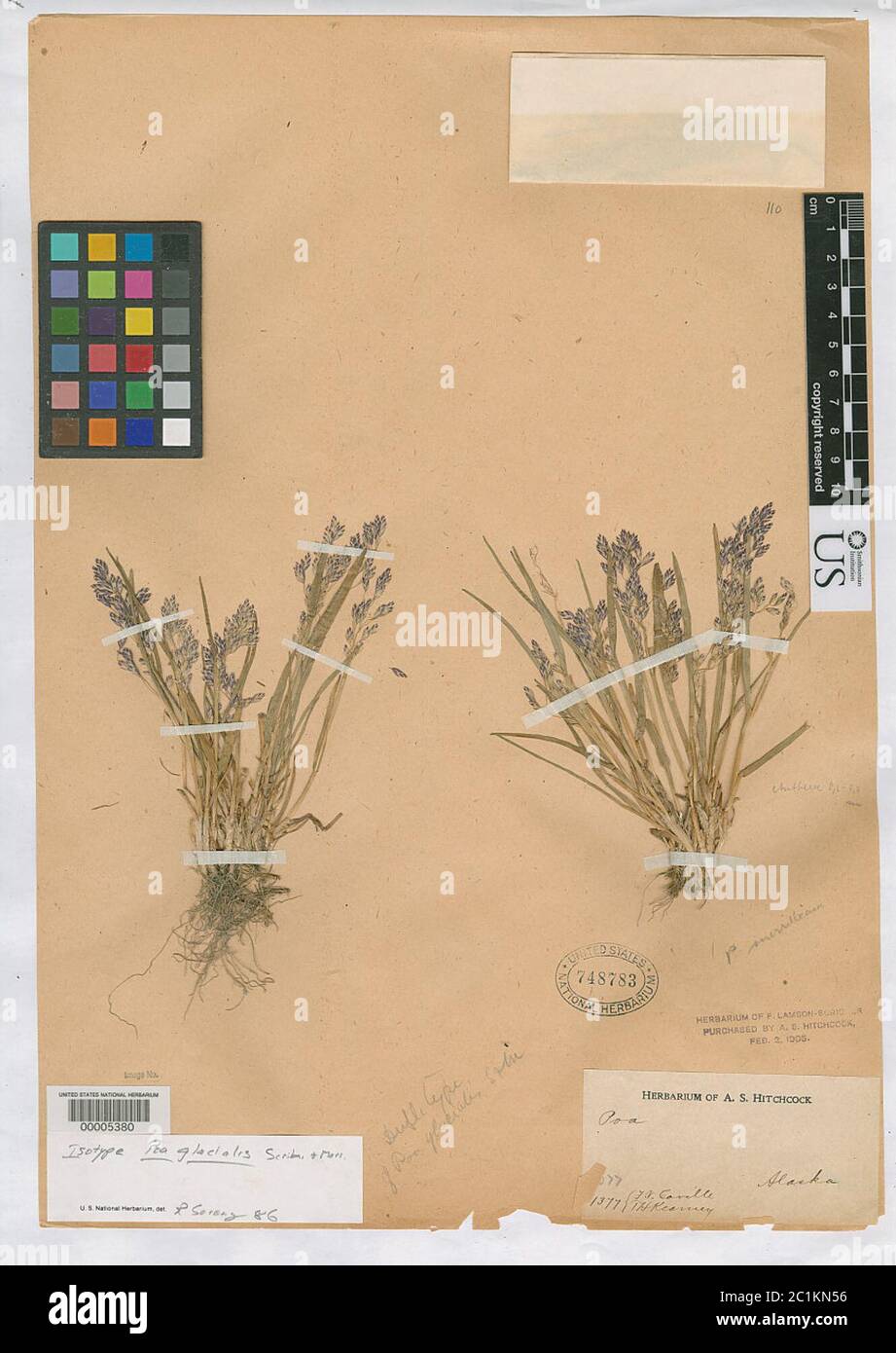 Scribn hi-res stock photography and images - Alamy