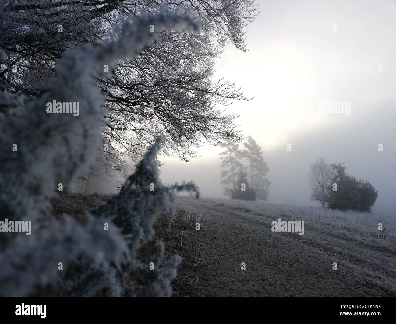 Cold morning light hi-res stock photography and images - Alamy