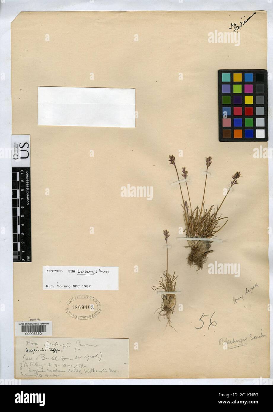 Scribn hi-res stock photography and images - Alamy