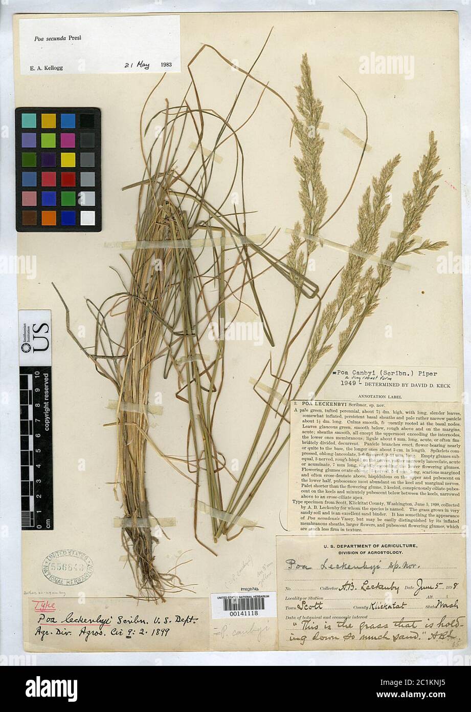 Scribn hi-res stock photography and images - Alamy