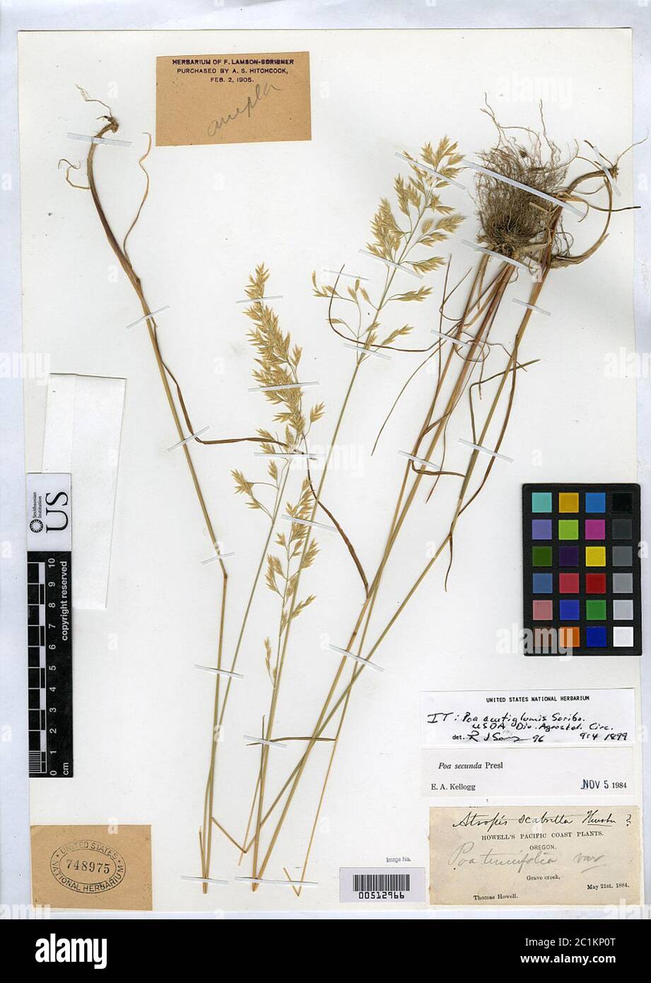 Scribn hi-res stock photography and images - Alamy