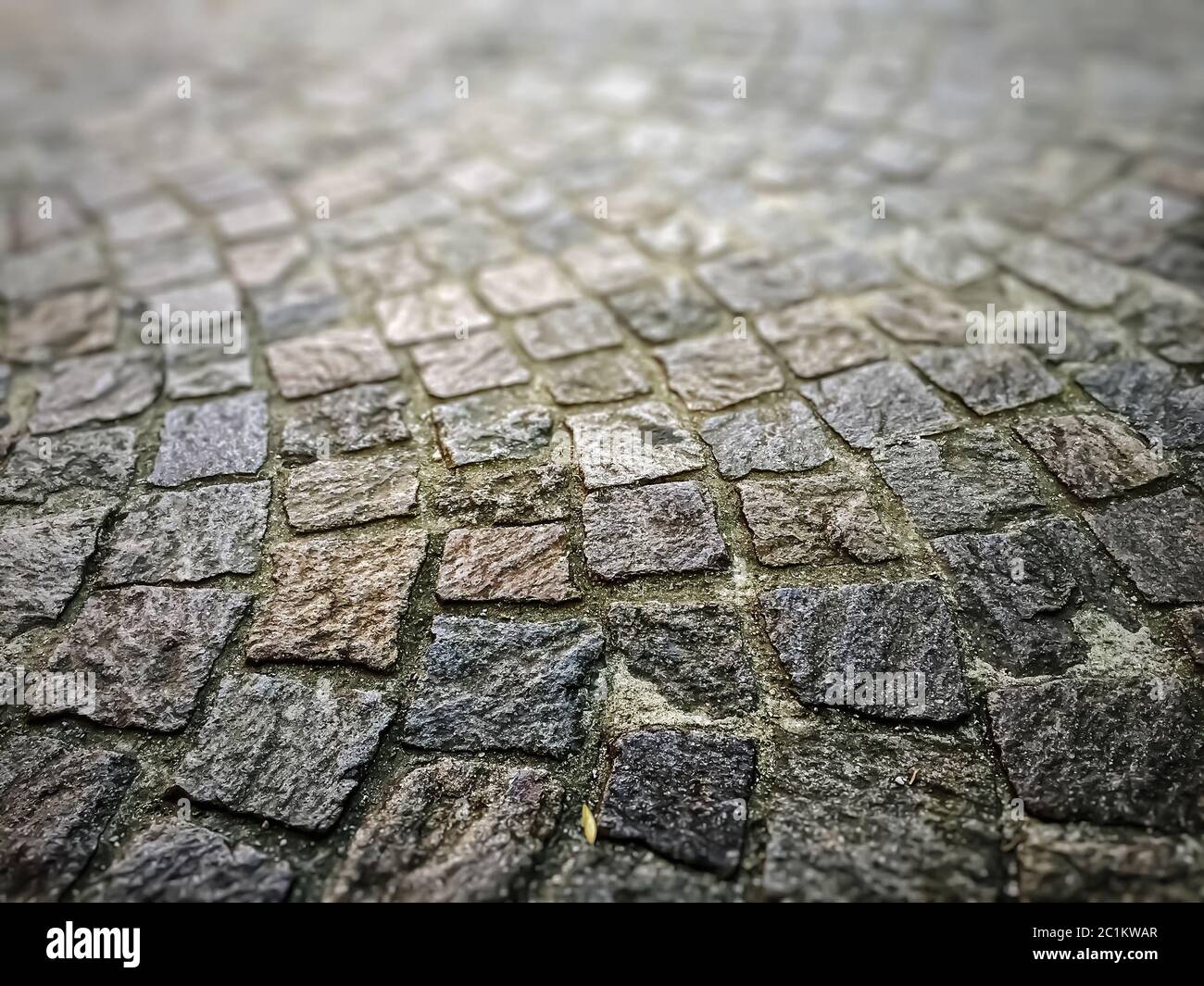 Detail of a cobblestone street Stock Photo - Alamy