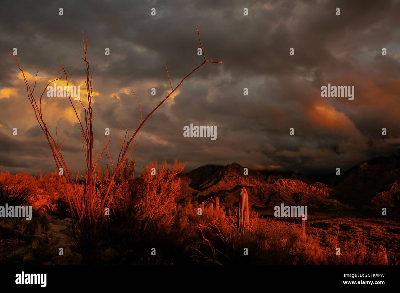 The last light on a January day covers the Santa Catalina Mountains ...