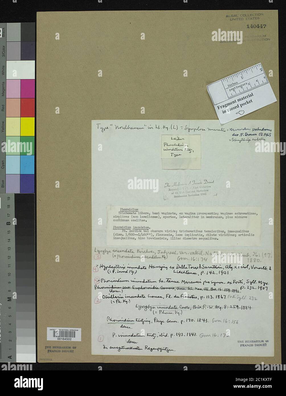 Phormidium High Resolution Stock Photography and Images - Alamy