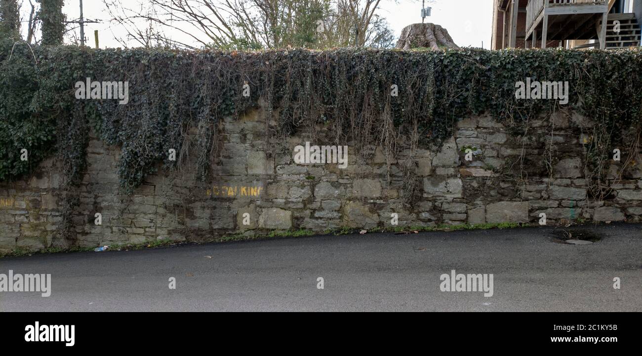 Old stone wall overgrown hi-res stock photography and images - Alamy