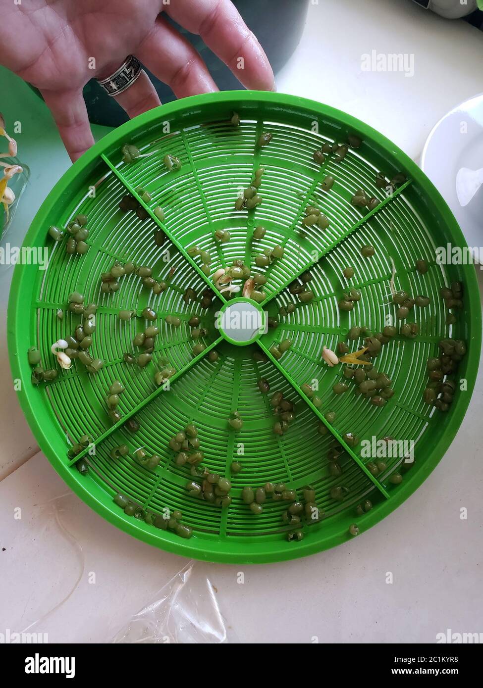 With hulls hi-res stock photography and images - Alamy