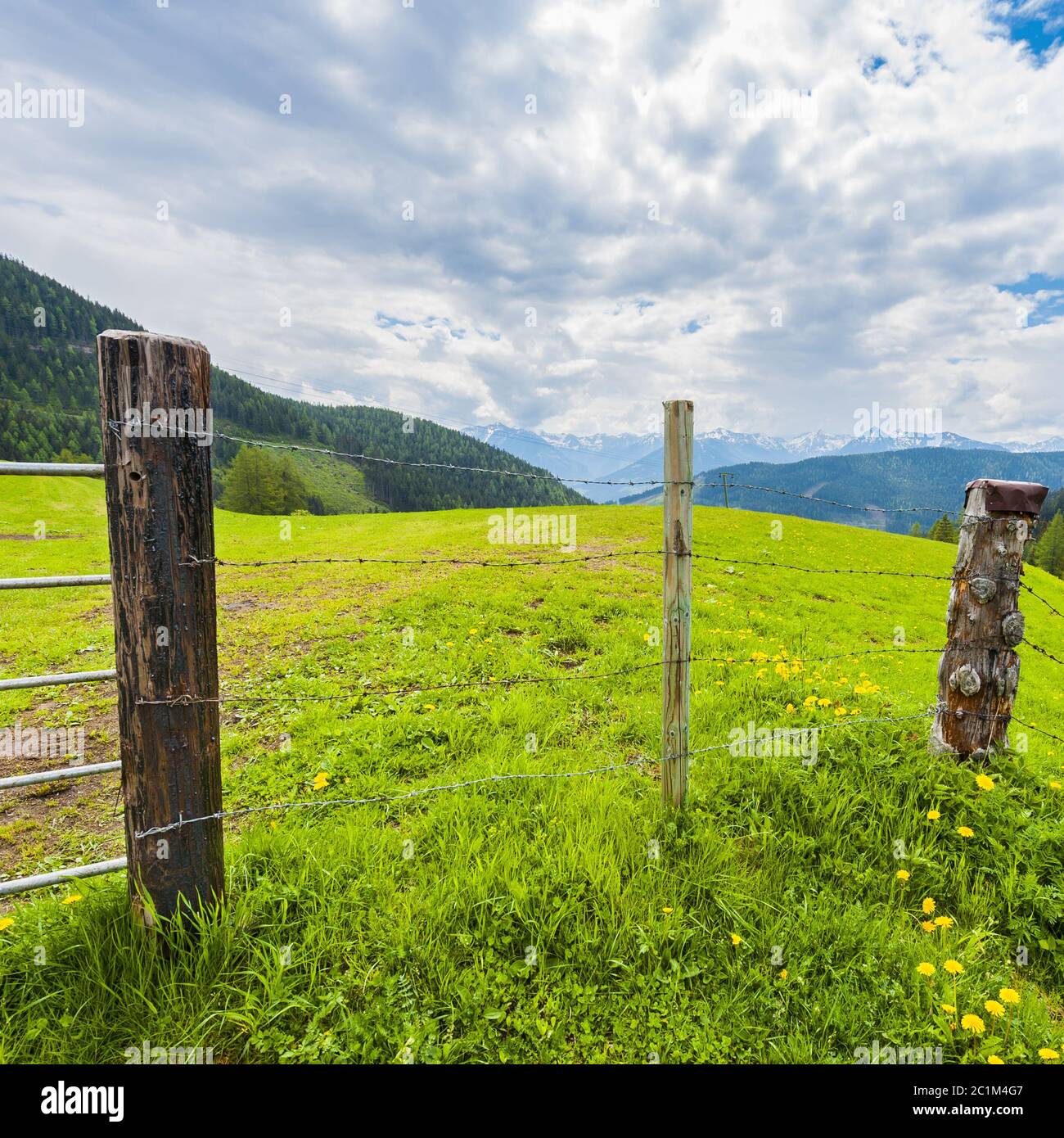Fenced plantation hi-res stock photography and images - Alamy