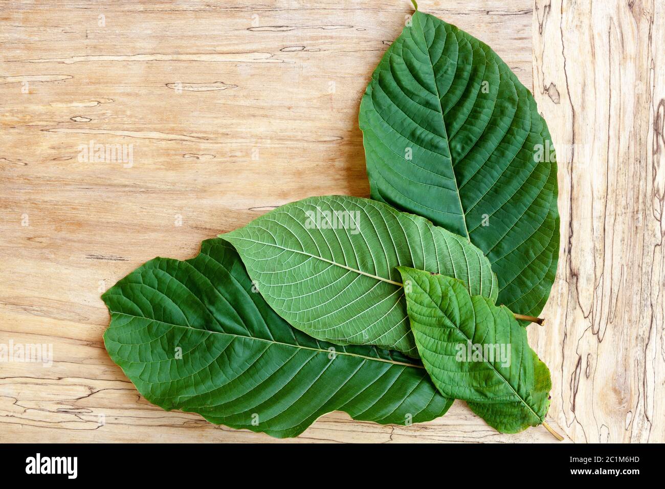 Kratom hi-res stock photography and images - Alamy