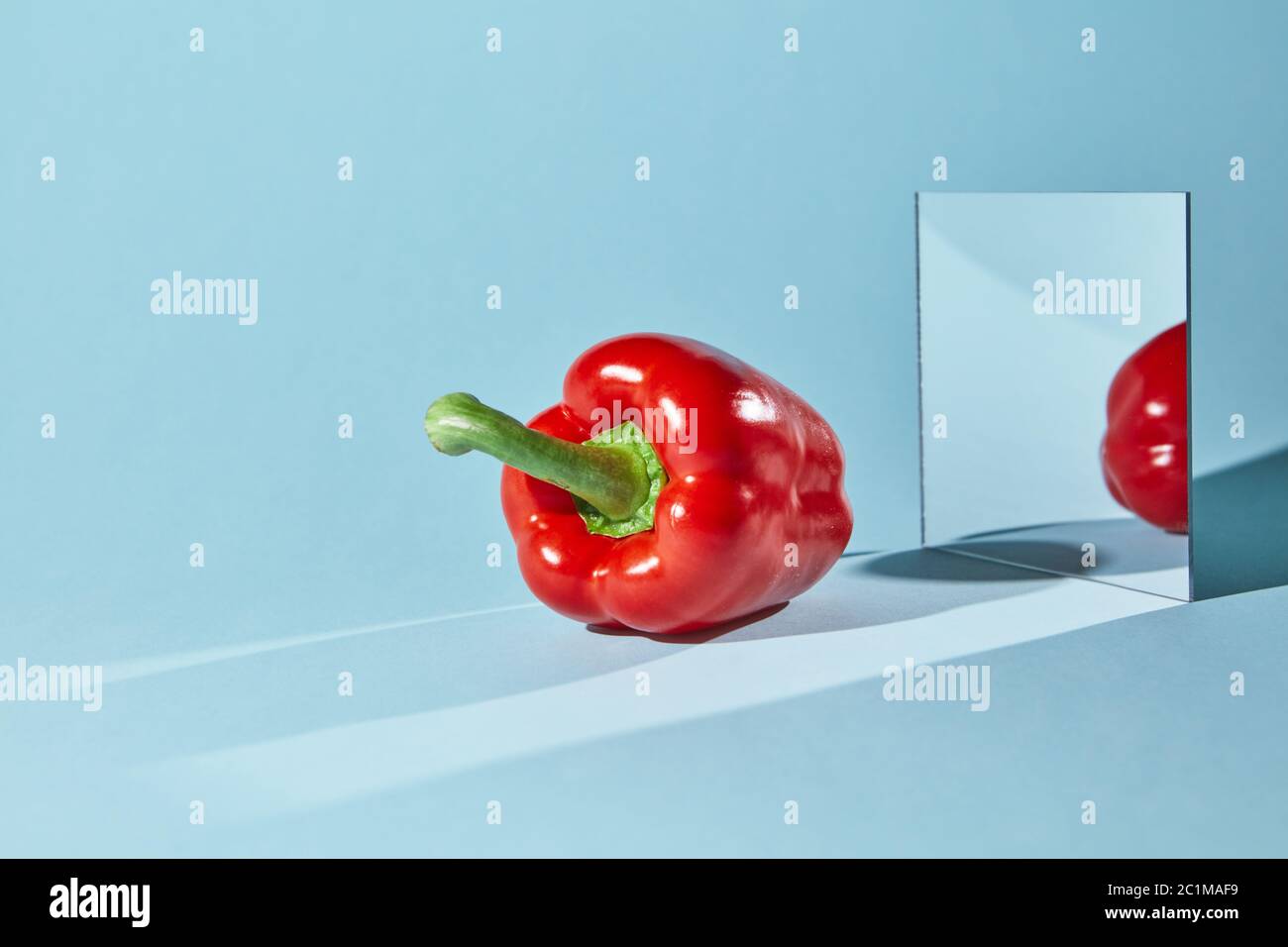 Sweet red pepper, a square mirror on a blue background, a reflection of ...
