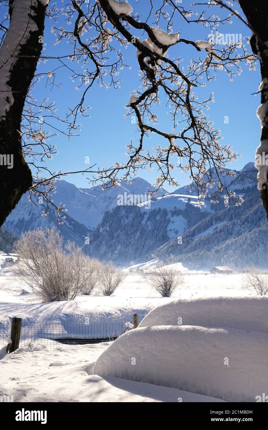 Winterdream hi-res stock photography and images - Alamy