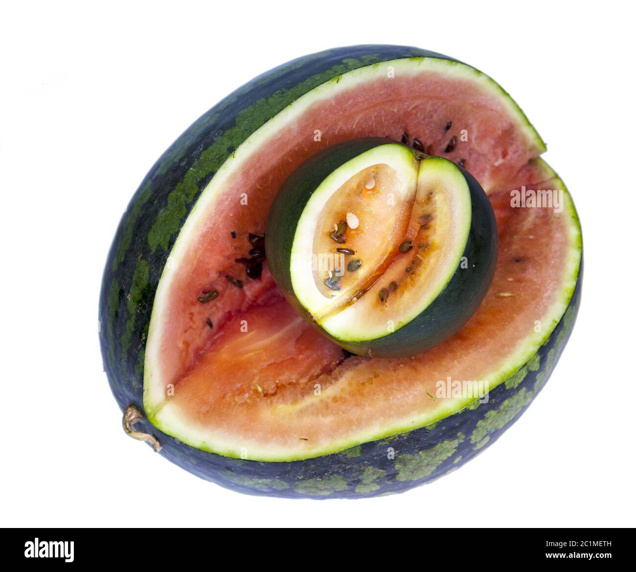 Two water-melons of various grades - big and dwarfish Stock Photo - Alamy