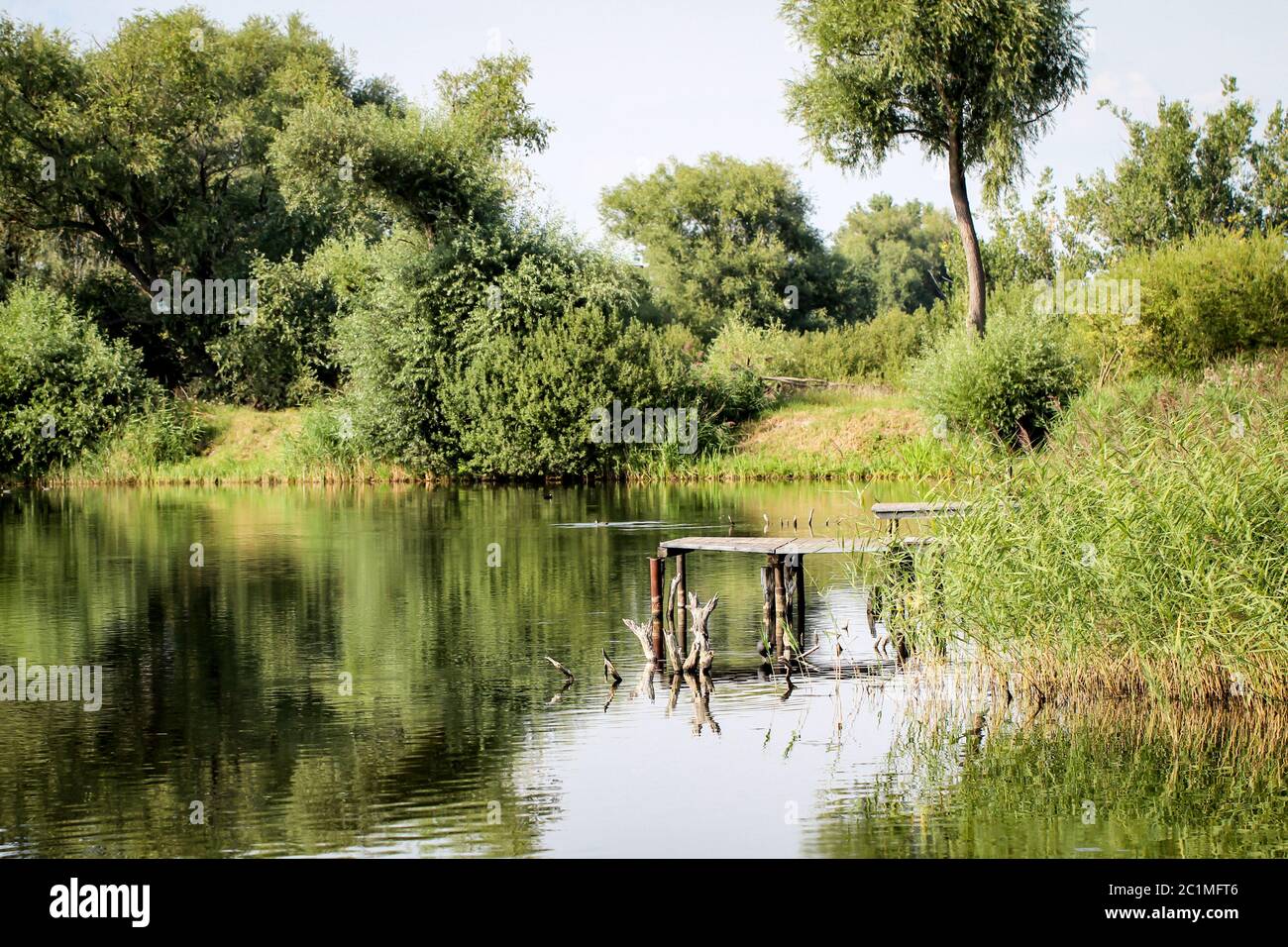 This is a view into a pond Stock Photo - Alamy