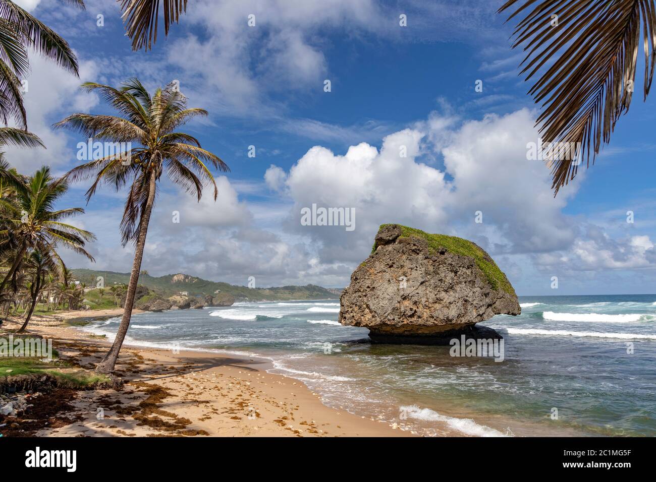 Bathsheba Beach on the eastcoast of Barbados Stock Photo - Alamy