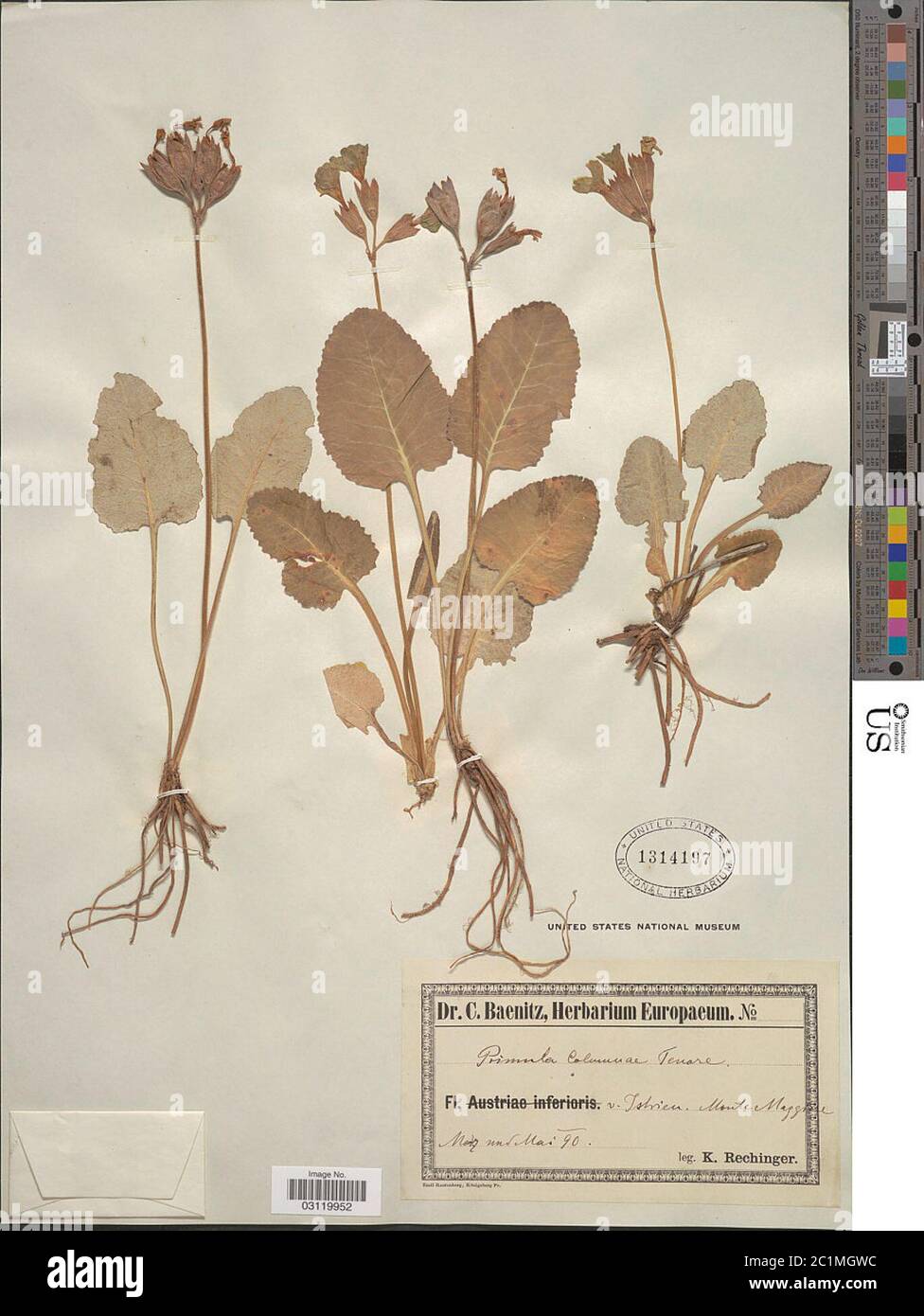 Columnae hi-res stock photography and images - Alamy