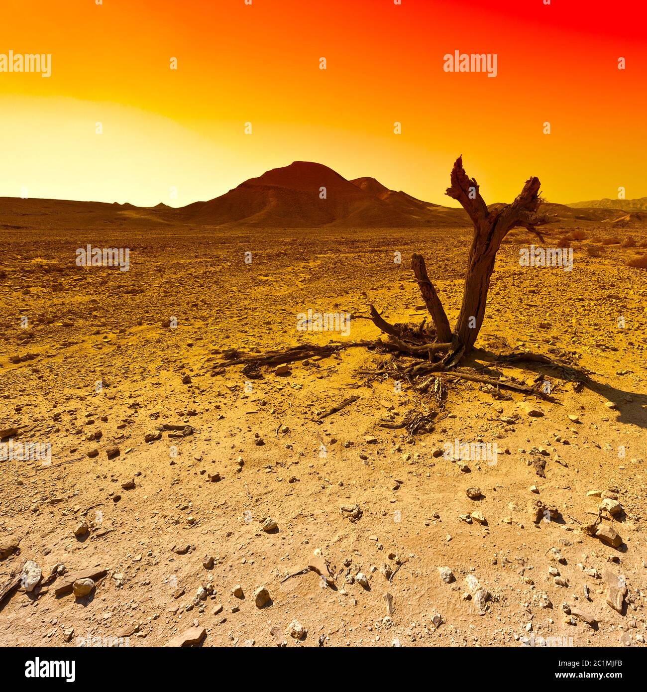 Desert colors hi-res stock photography and images - Alamy