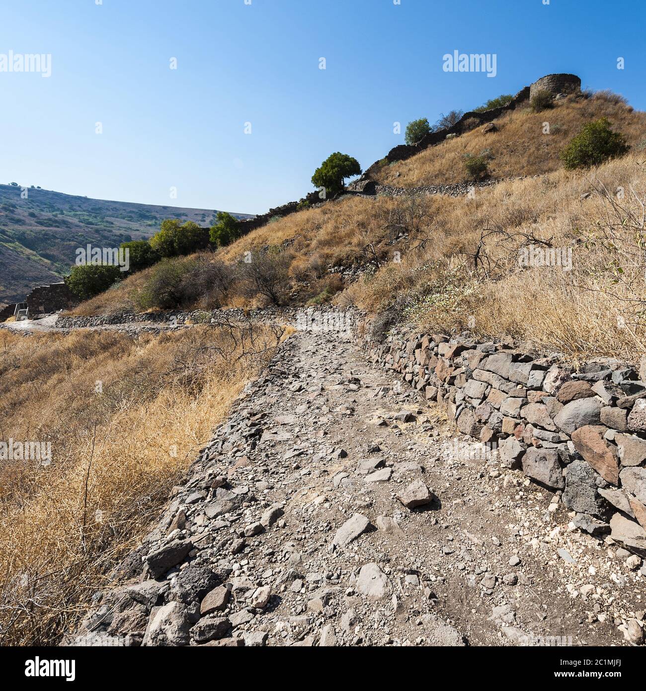Gamla nature reserve in Israel Stock Photo - Alamy