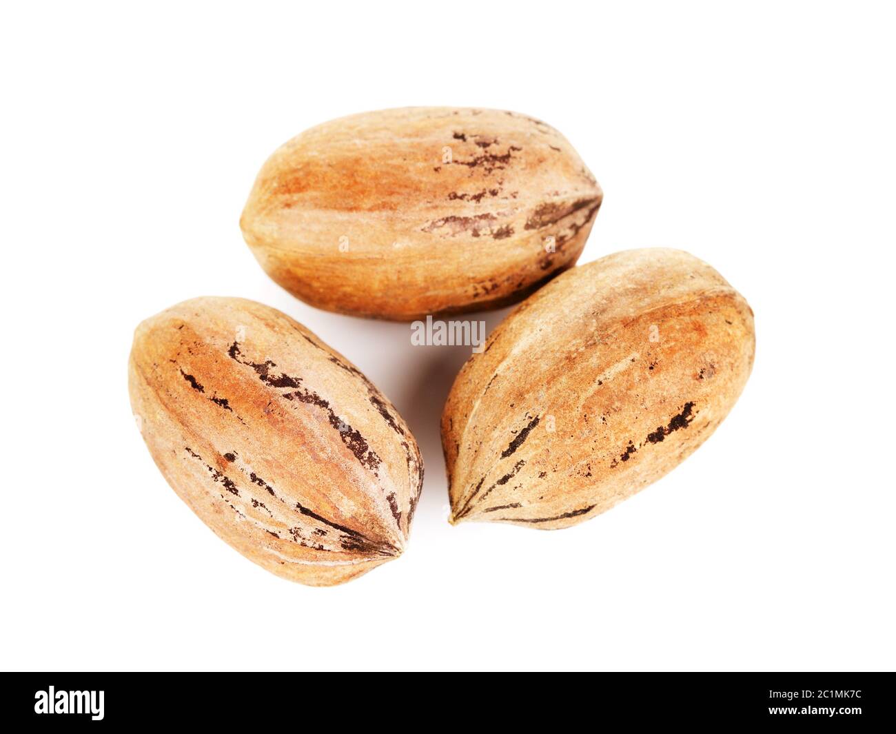 Pecan shell hi-res stock photography and images - Alamy