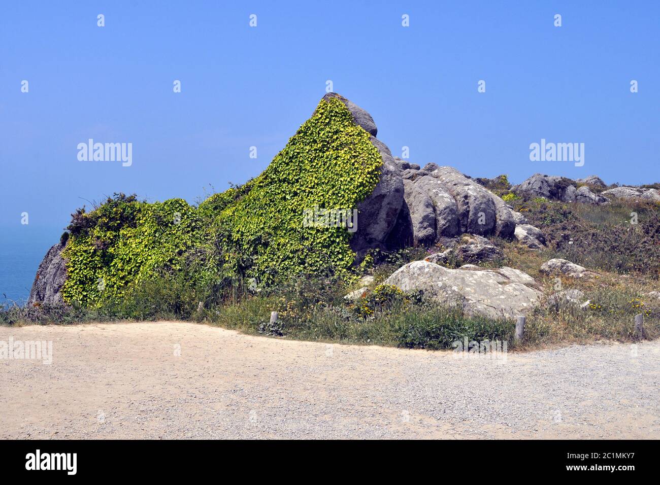 Rocky reef in the sea Stock Photo - Alamy