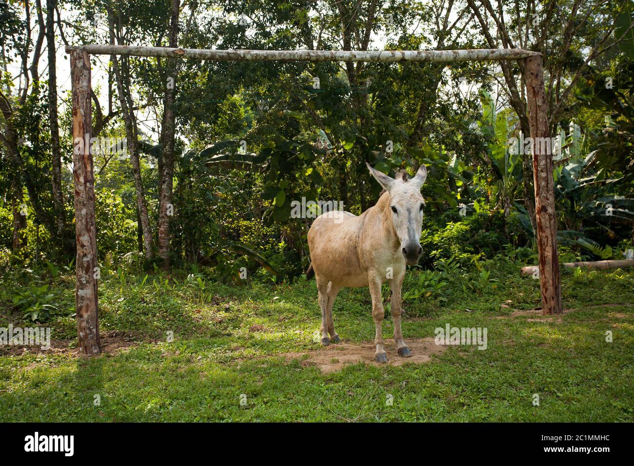 Collective goal hi-res stock photography and images - Alamy