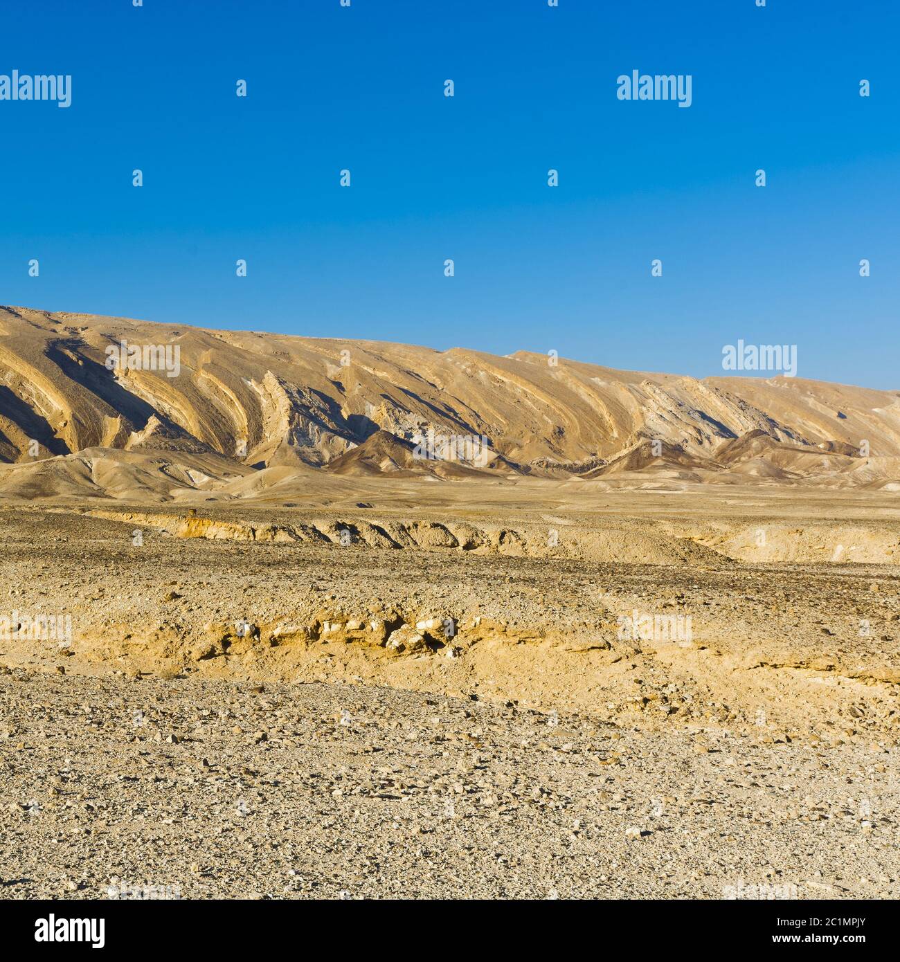 Negev destination hi-res stock photography and images - Alamy