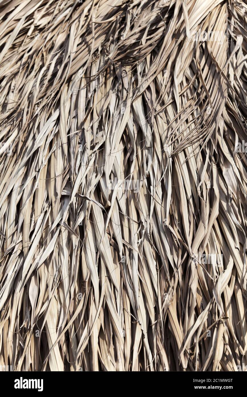 Thatched texture hi-res stock photography and images - Alamy