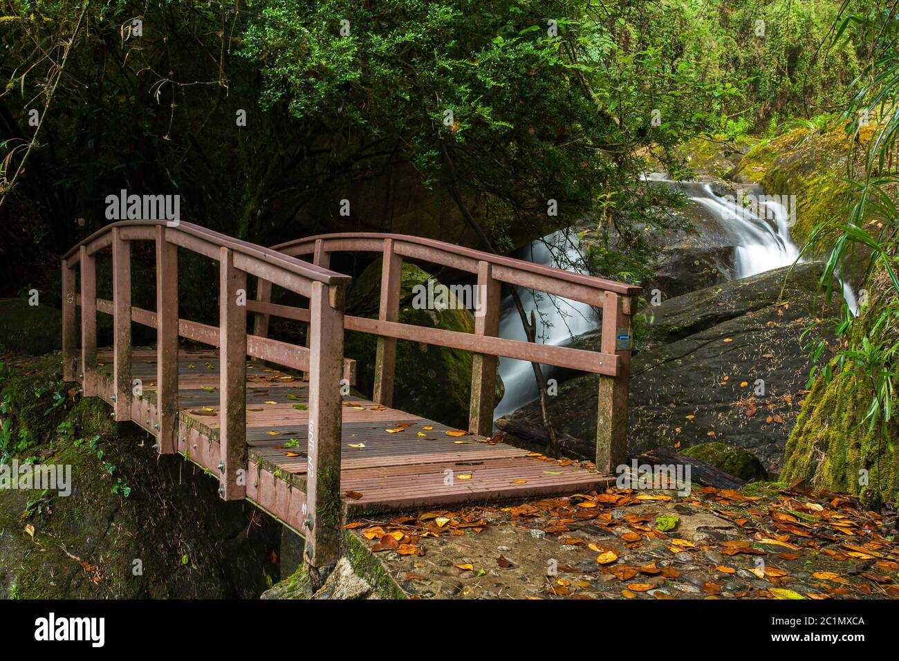 Small wood bridge in rain forest with waterfall in background Stock ...
