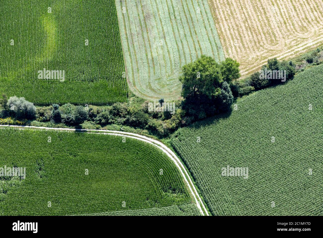 Aerial photo of a dirt track running through corn fields Stock Photo ...