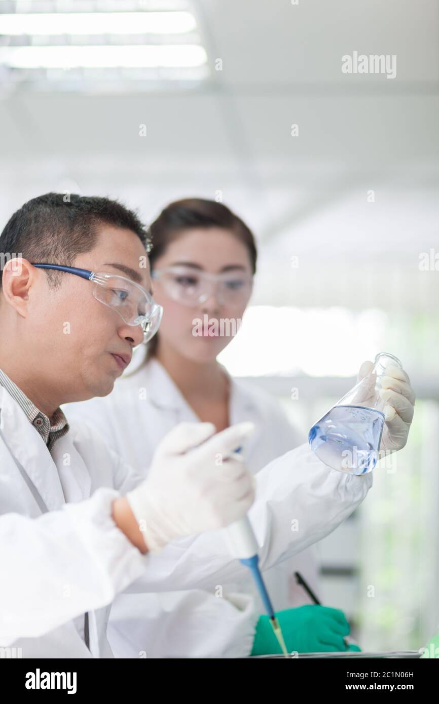 people working at laboratory Stock Photo - Alamy