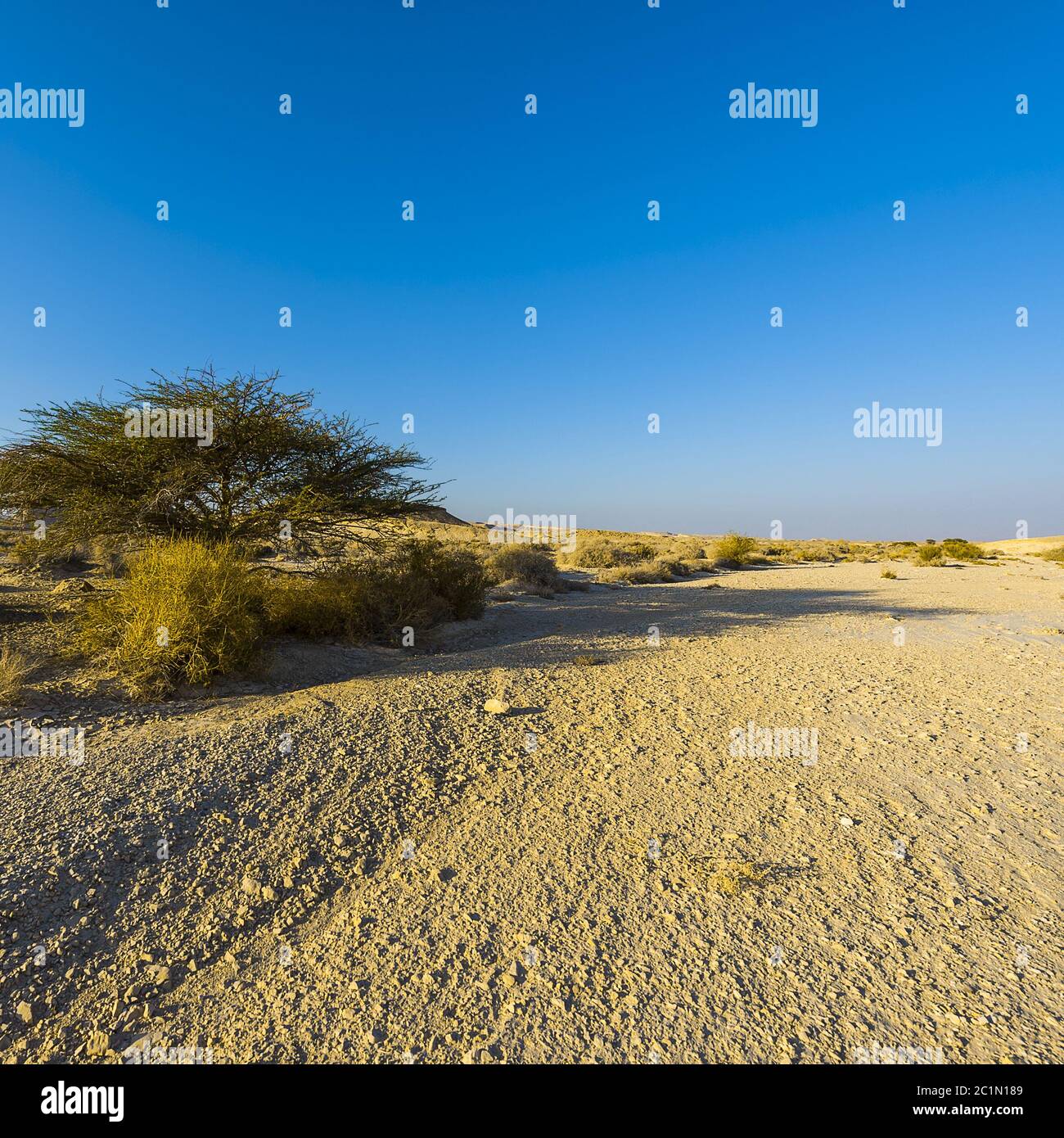 Infinity of nature hi-res stock photography and images - Alamy