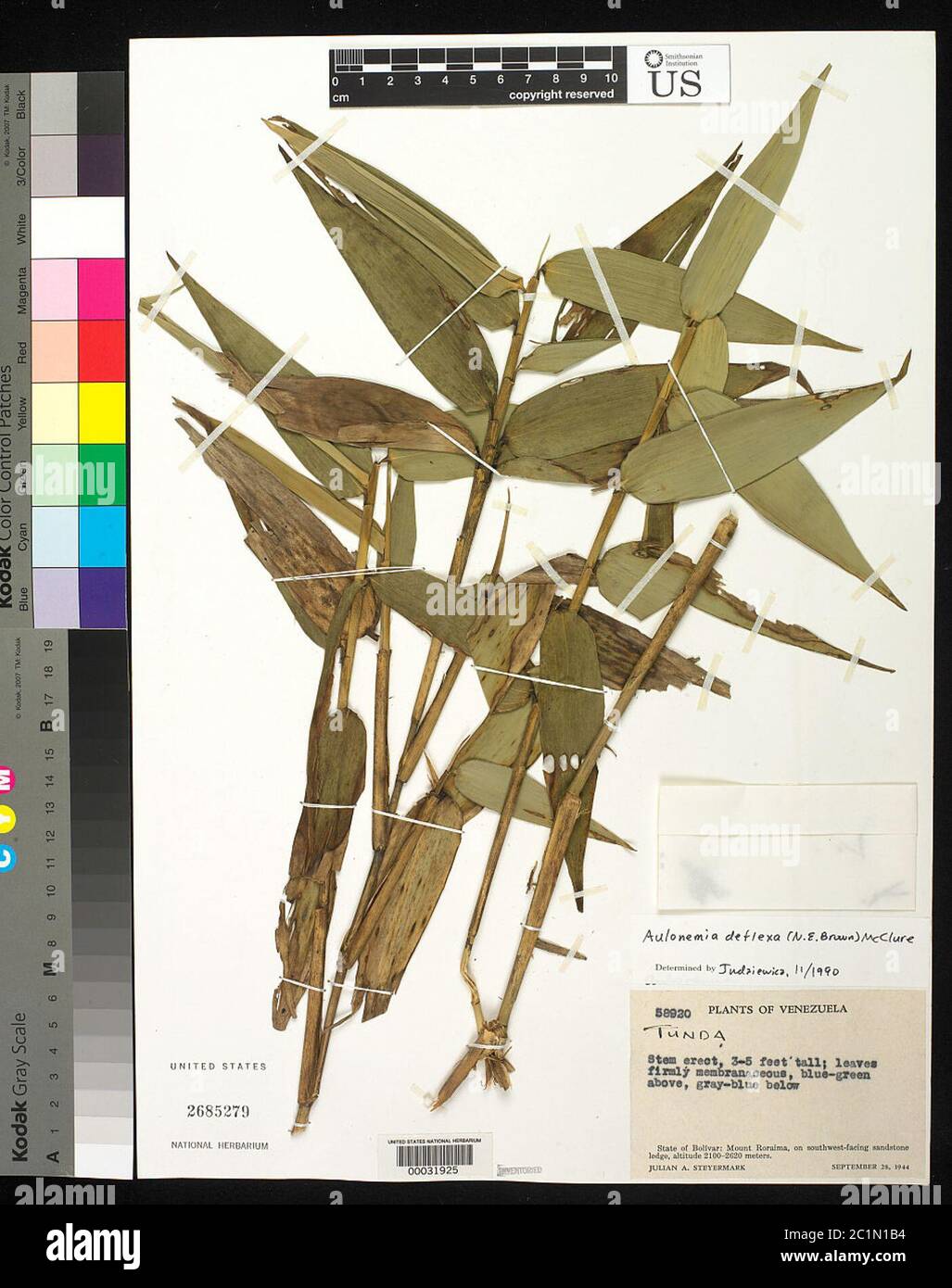 Deflexa High Resolution Stock Photography and Images - Alamy