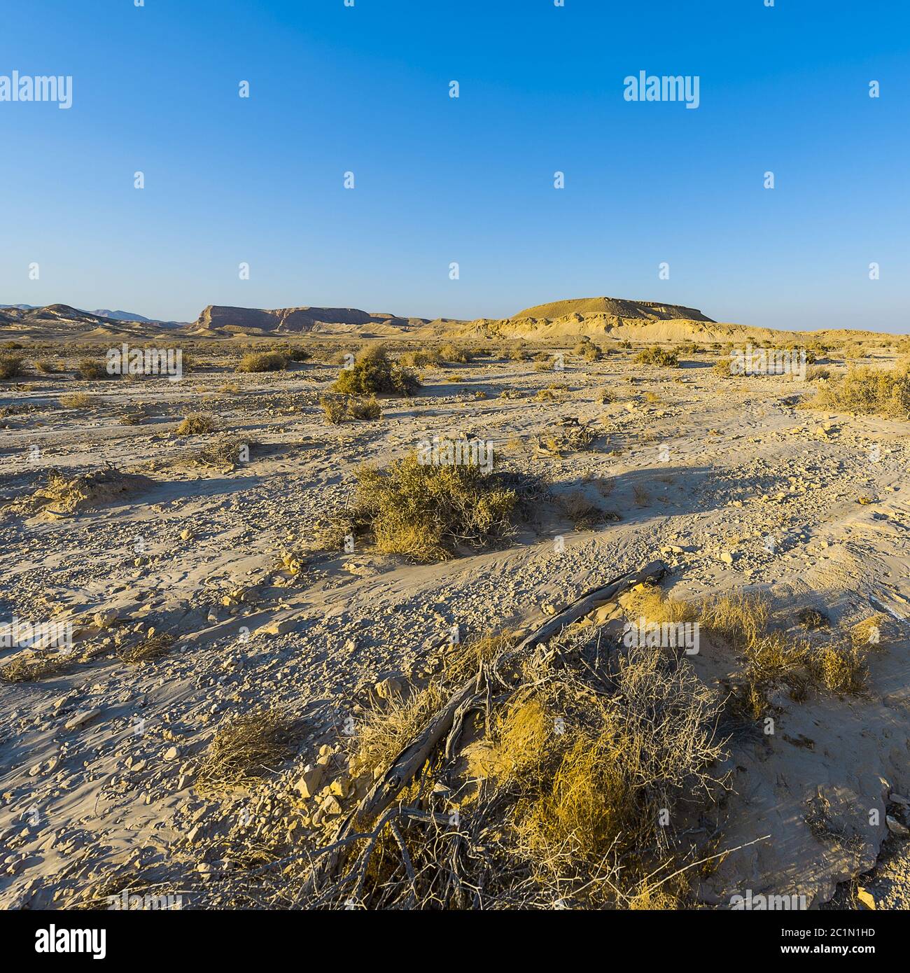 Desolate terrain hi-res stock photography and images - Alamy
