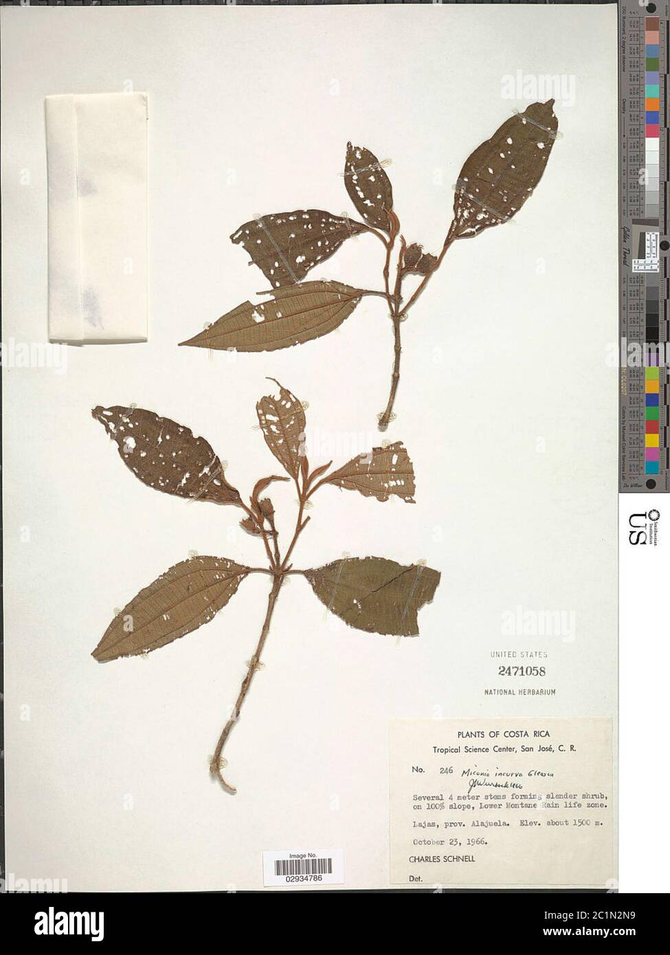 Incurva hi-res stock photography and images - Alamy