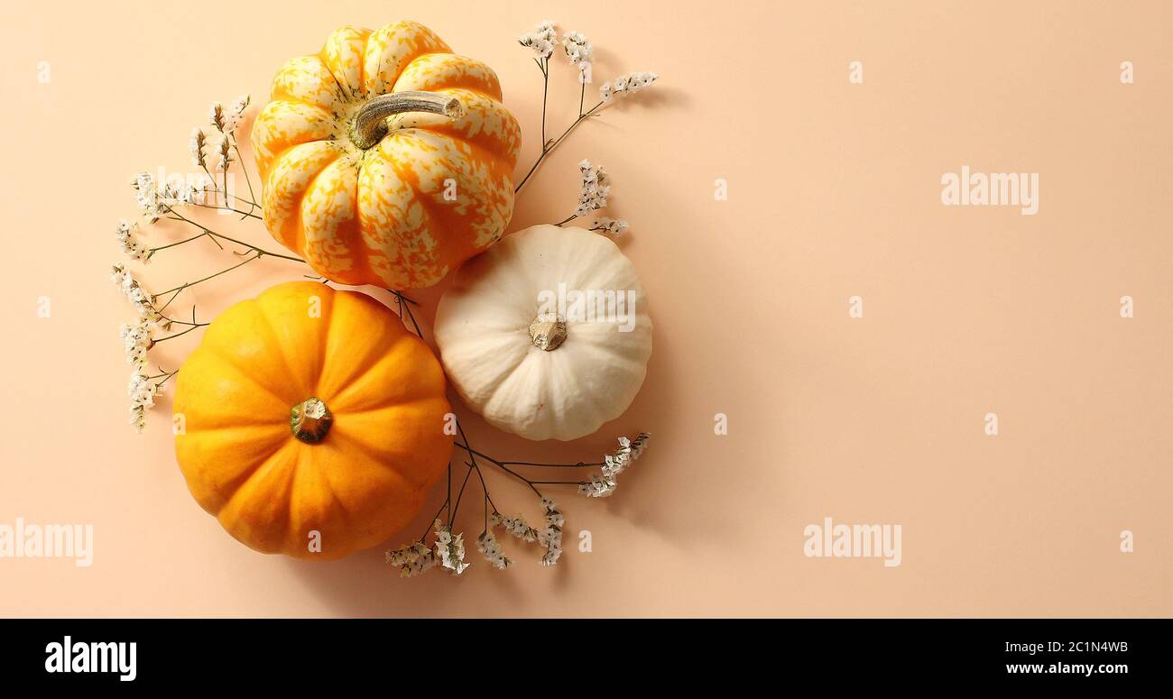 Composition three orange pumpkins hi-res stock photography and images ...