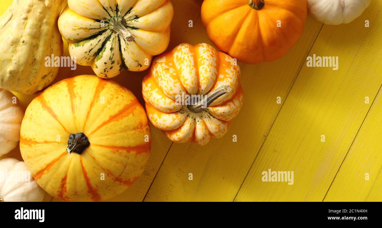 Big flat pumpkins hi-res stock photography and images - Alamy