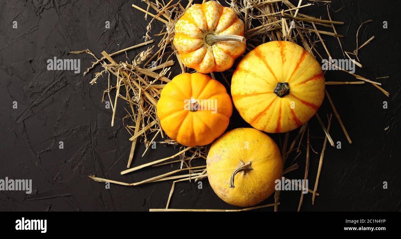 Hay lay hi-res stock photography and images - Alamy