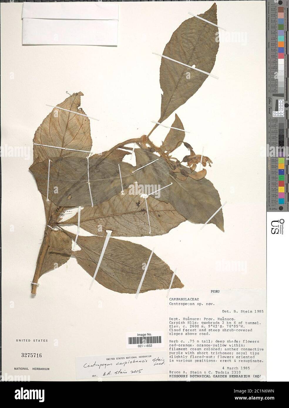 Unpublished image hi-res stock photography and images - Alamy