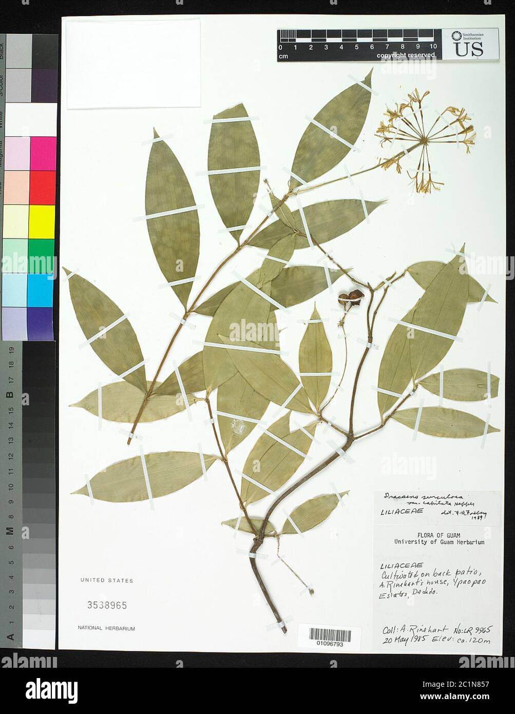 Hepper High Resolution Stock Photography and Images - Alamy