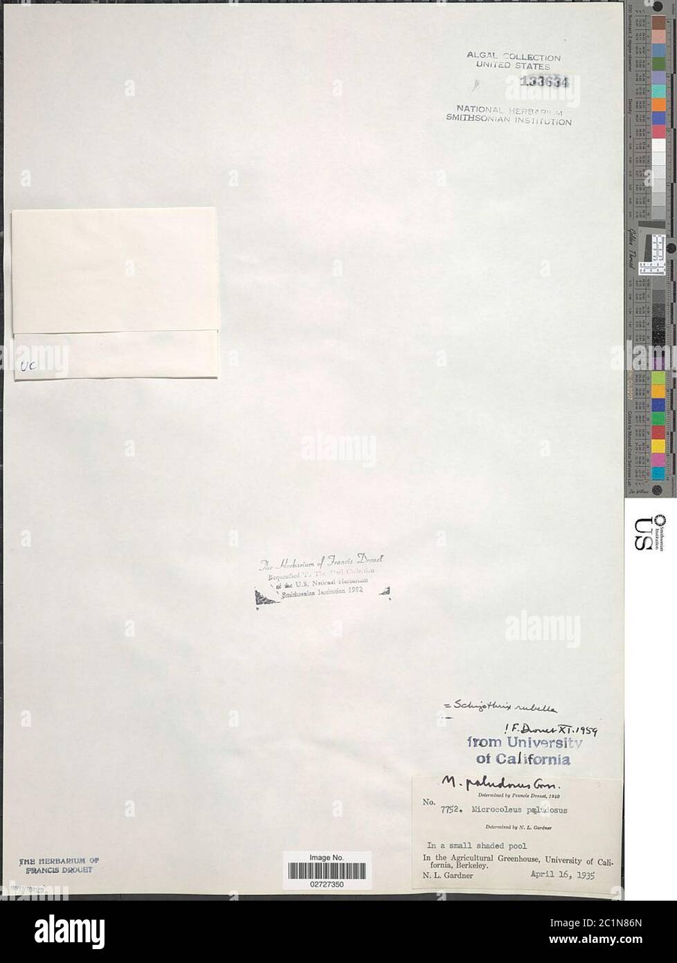 Aquatic microorganism hi-res stock photography and images - Alamy